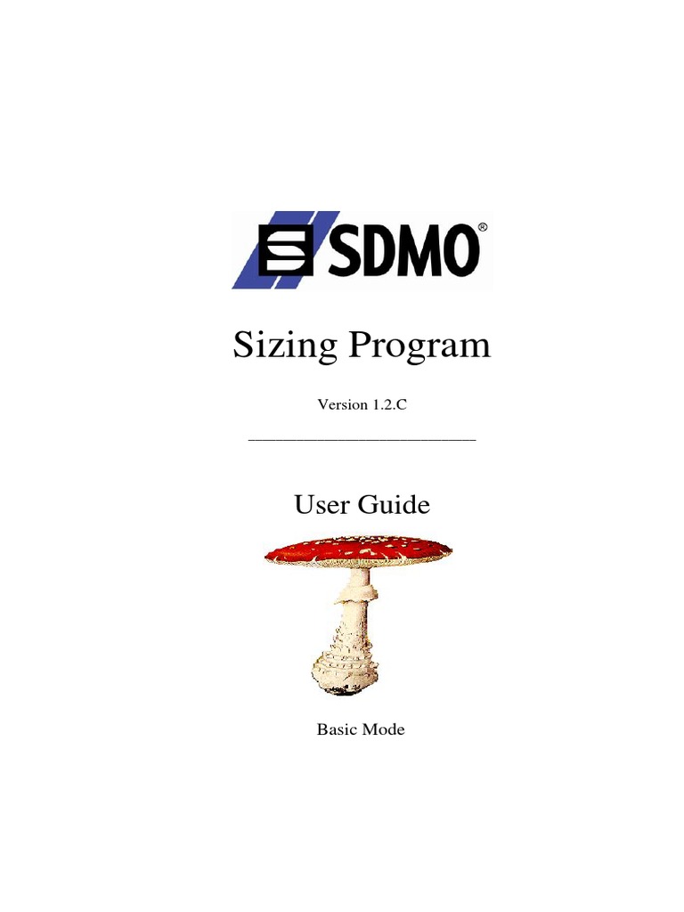 Sizing Program V1-2-C Basic - EnG | PDF | Icon (Computing) | Button ...