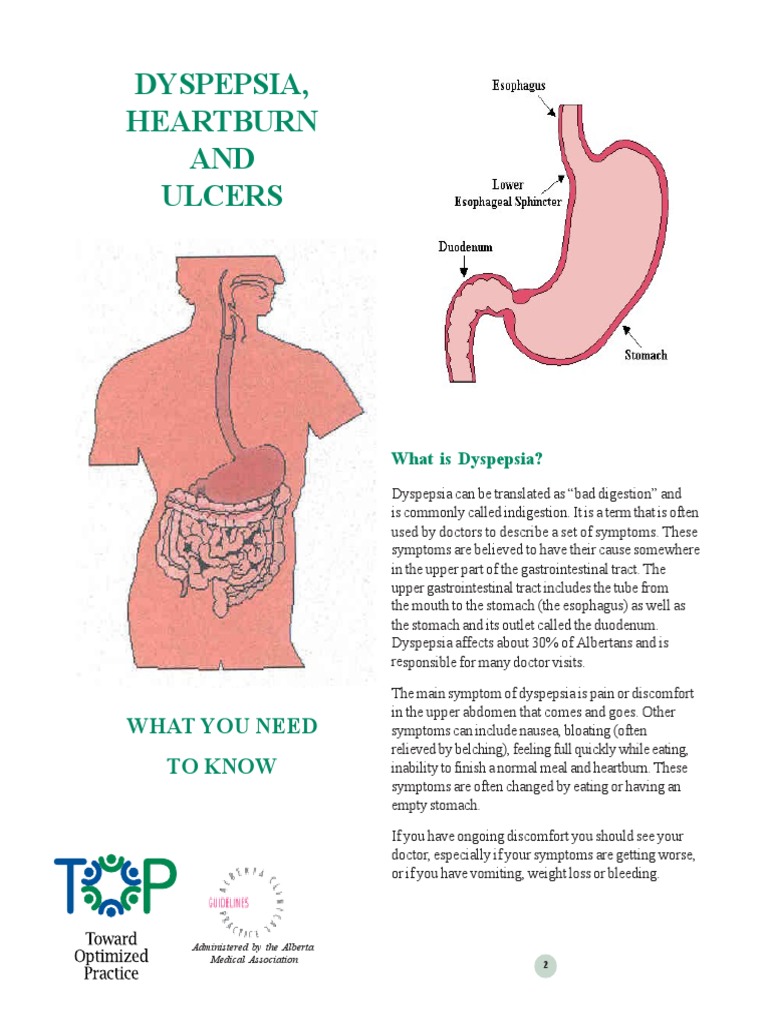 Dyspepsia Brochure | PDF | Peptic Ulcer | Heartburn