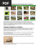 Fauna Diversa de Michoacán | PDF | Mamíferos | Zoología