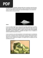 Refenax Gotas Nasales Prospecto | PDF | Asma | Farmacología