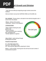 Oreo Mitosis Lab | PDF | Mitosis | Cell Biology