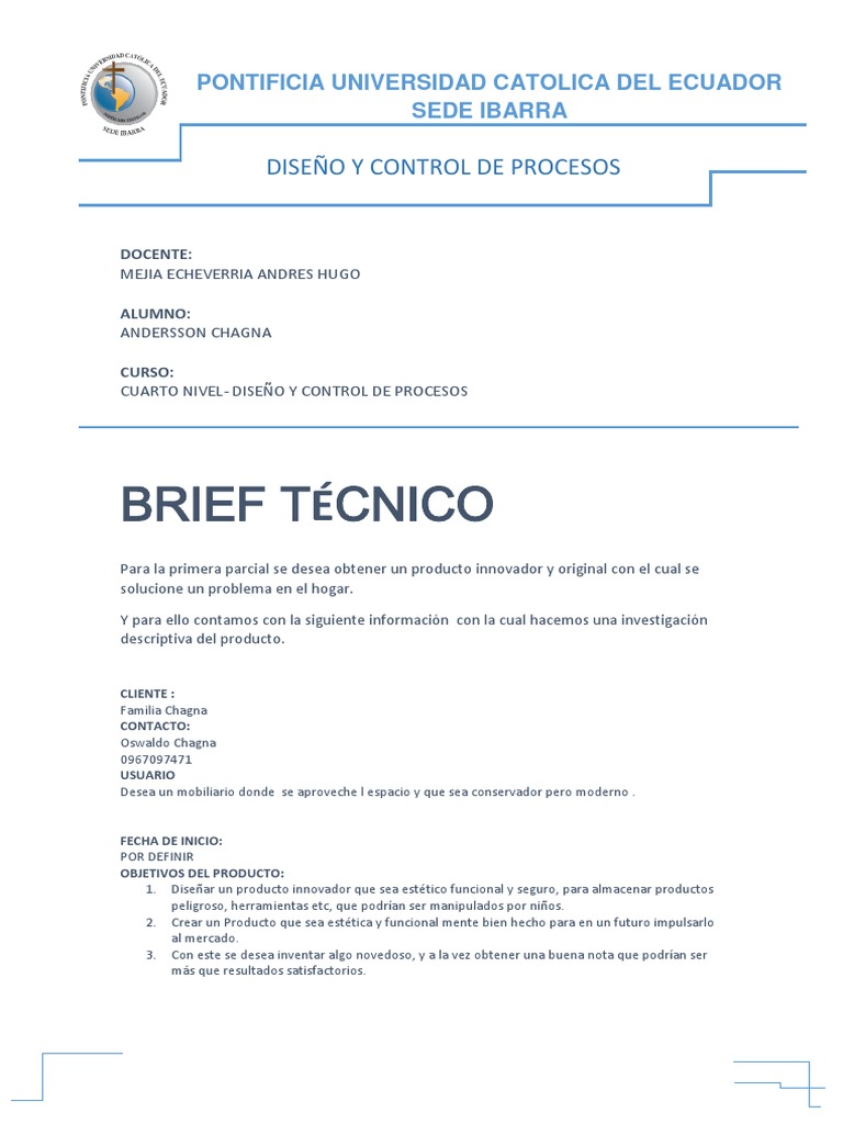 Brief Tecnico | PDF | Diseño | Producto (Negocio)