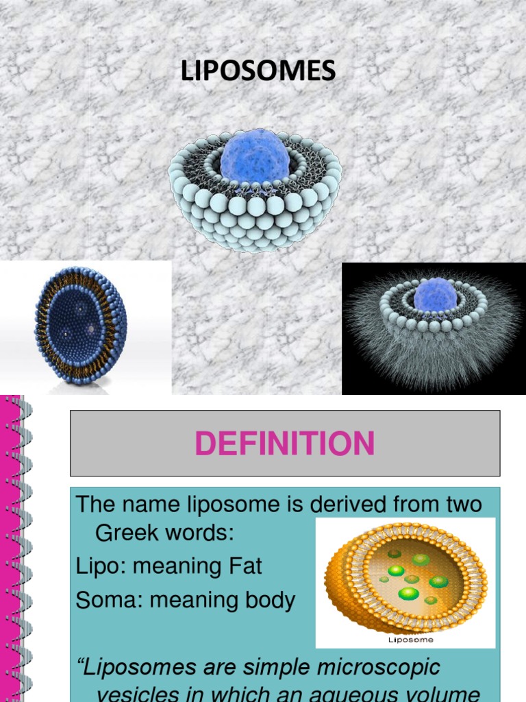 LIPOSOMES (2) | Liposome | Cell Membrane