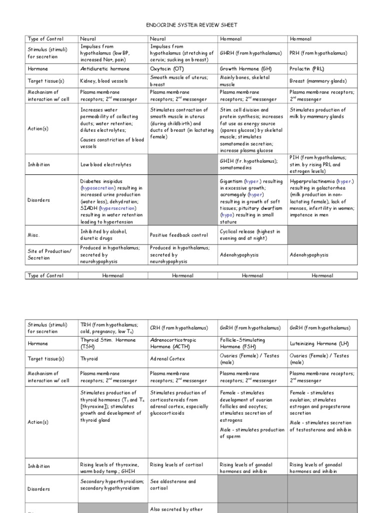 Endocrinology Endocrine System Review Sheet | PDF | Hormone | Cortisol