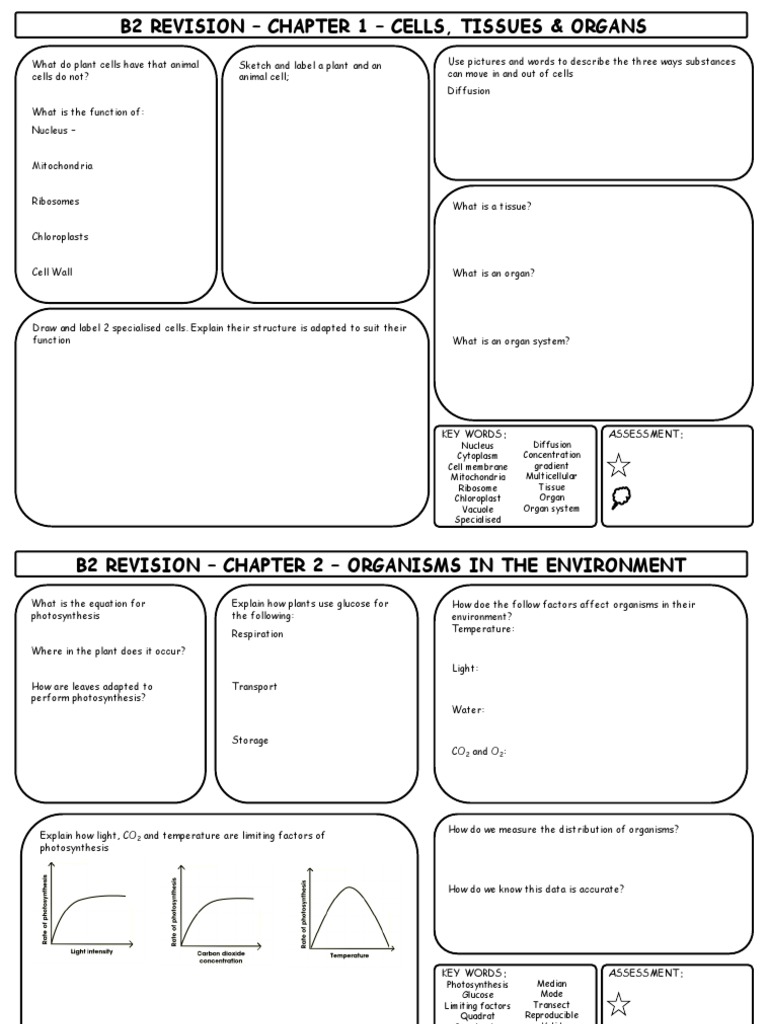 b2 Summary Mind Maps | PDF | Cellular Respiration | Cell (Biology)