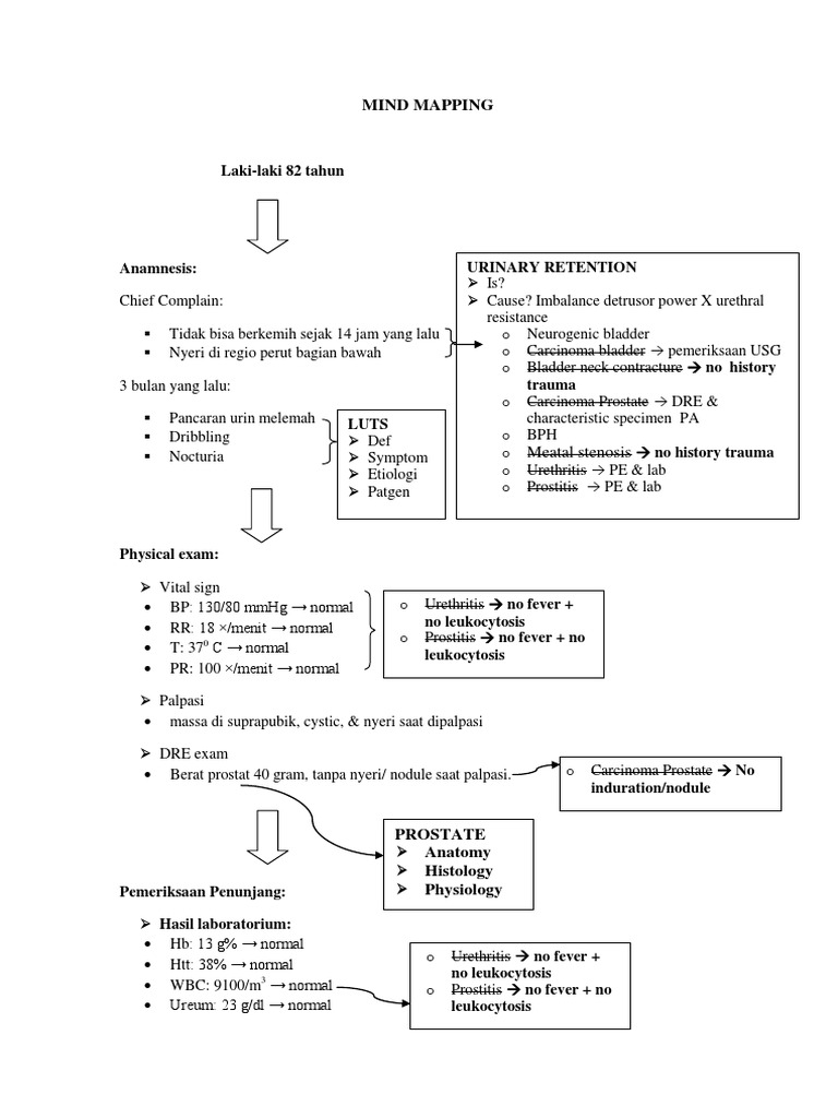 Laki-Laki 82 Tahun: Mind Mapping | PDF