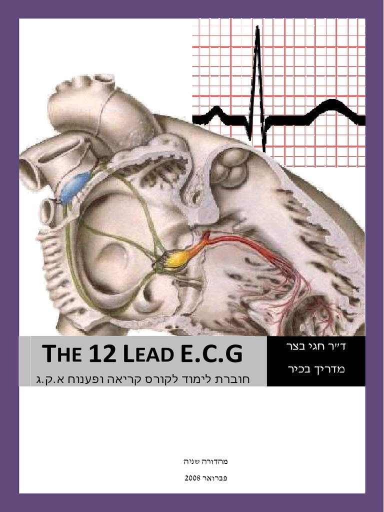 Ecg Cuore | PDF