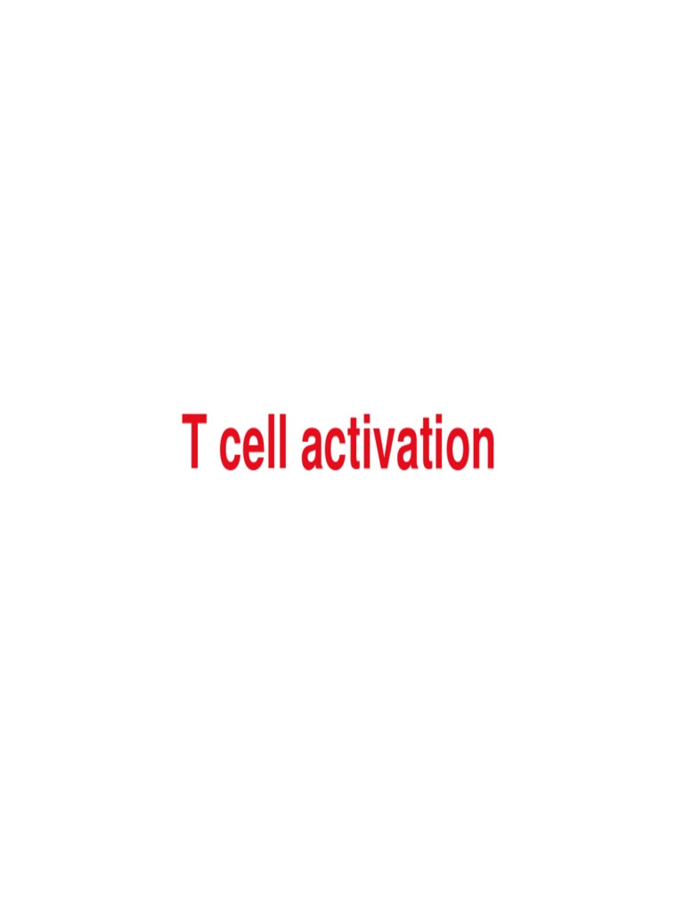 T Cell Activation and Signaling | PDF | Science & Mathematics