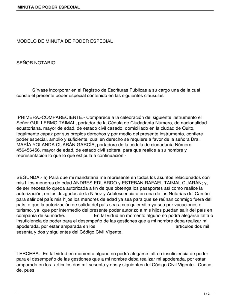 Minuta Poder Especial | PDF | Ciudadanía | Información del gobierno