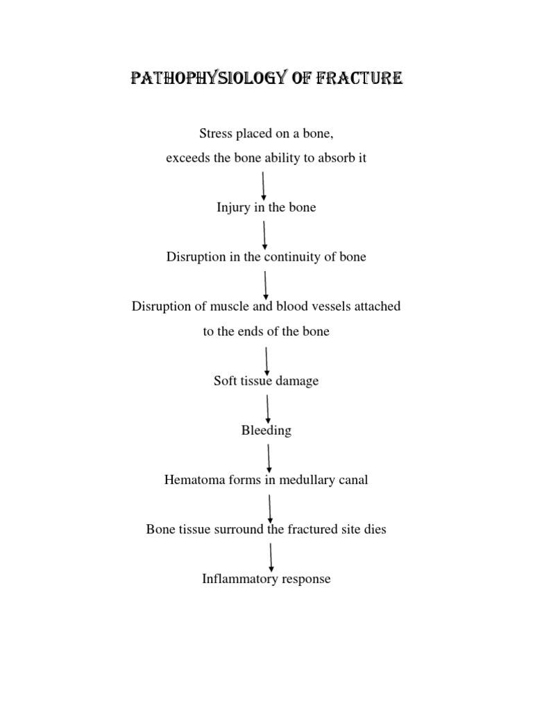 44135497 Pathophysiology of Fracture
