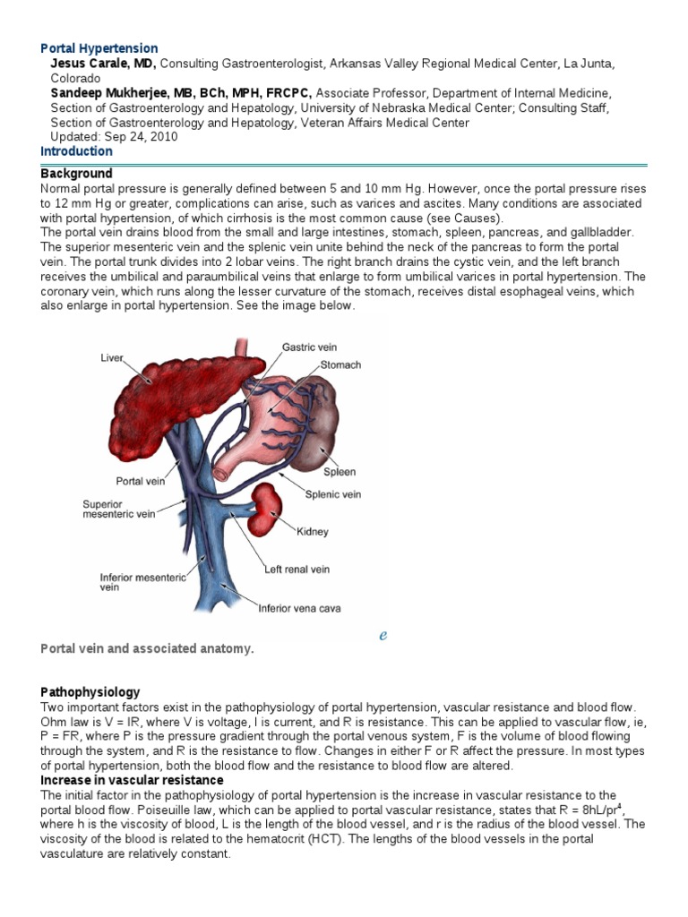 Portal Hypertension | Blood Vessel | Magnetic Resonance Imaging