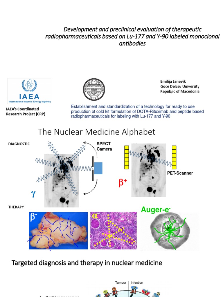 Development and Preclinical Evaluation of Therapeutic ...
