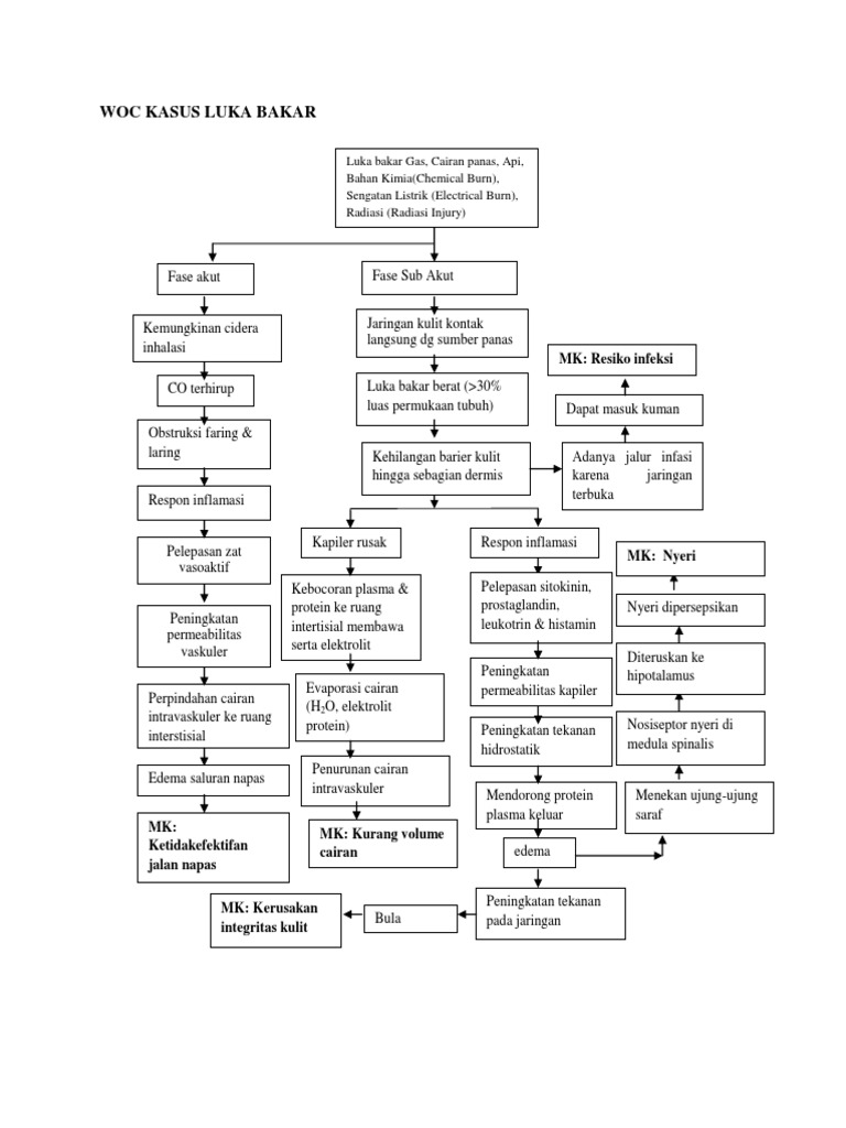 Woc Kasus Luka Bakar | PDF