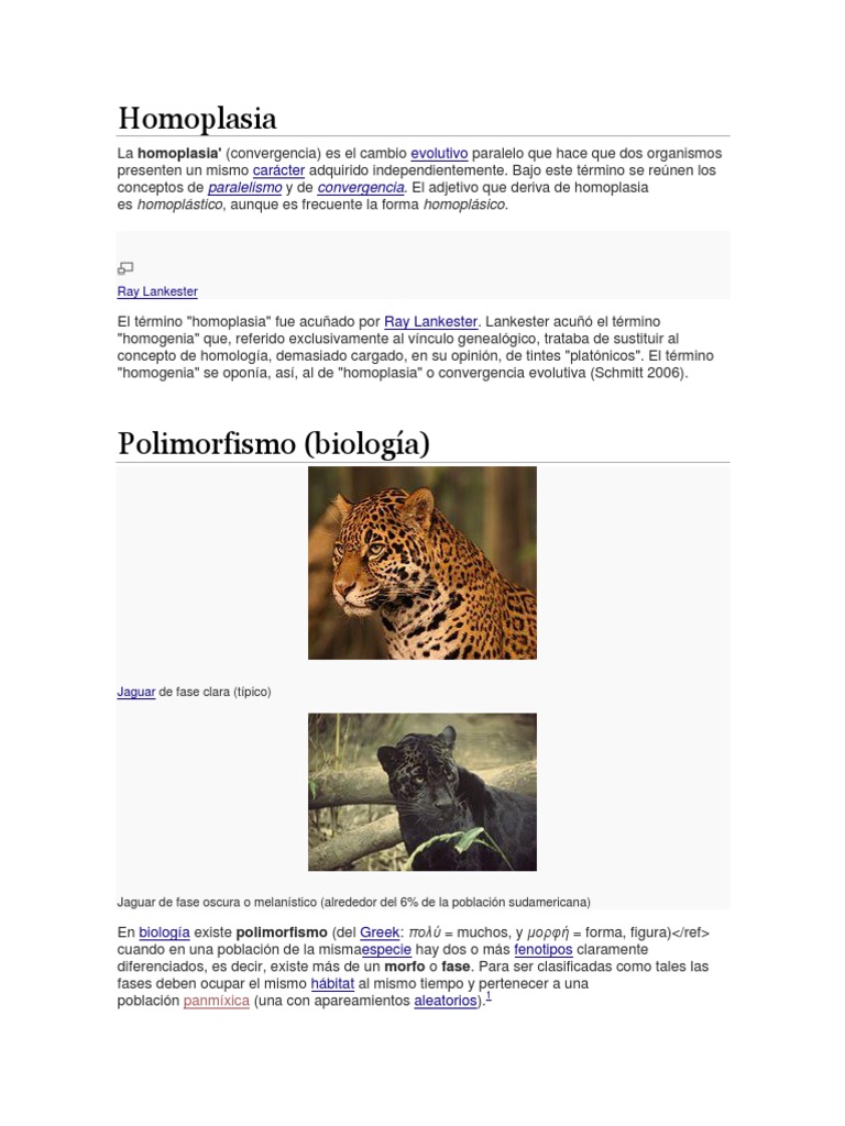 Homoplasia y Polimorfismo en Biología | PDF | Polimorfismo (biología ...