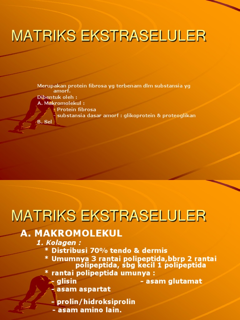 5 Matriks Ekstraseluler | PDF | Sains & Matematika