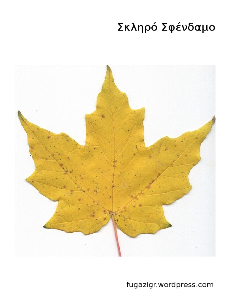 Αναγνωριση δεντρων απο φυλλα | PDF