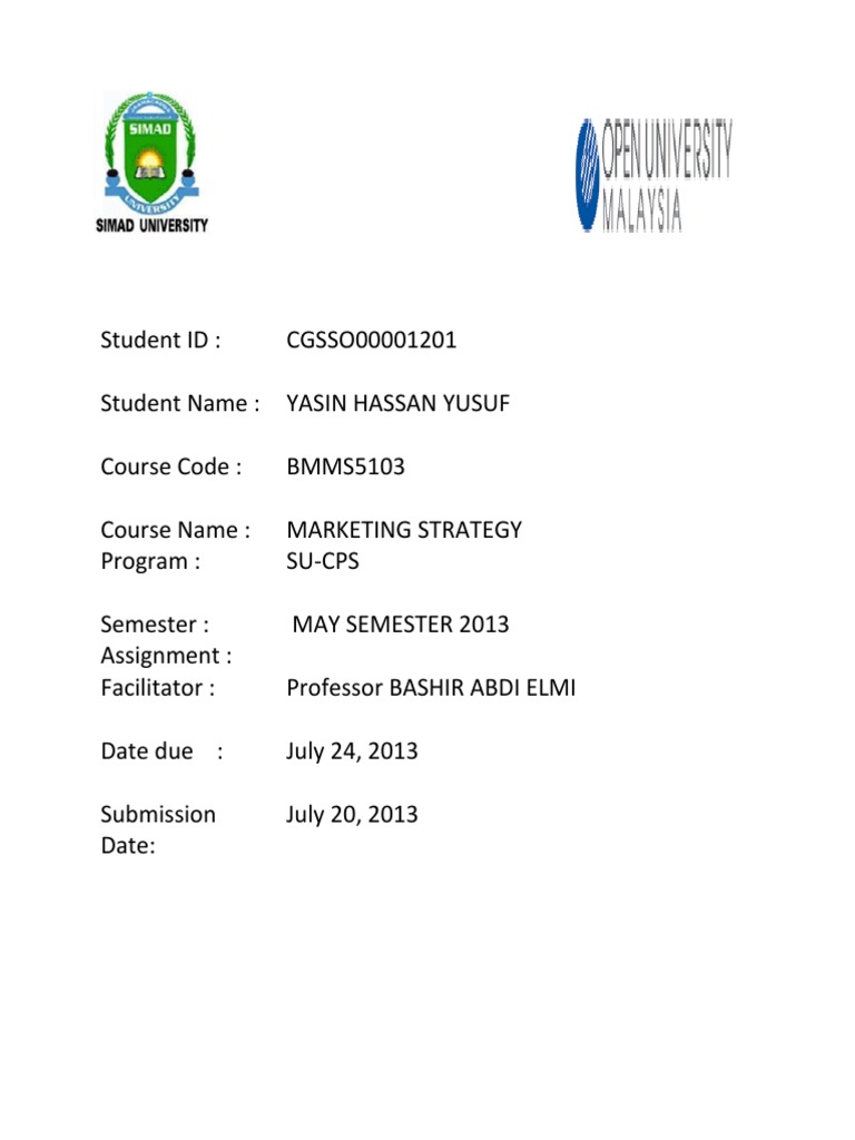 Marketing Strategy Assignment | PDF | Strategic Management | Marketing ...