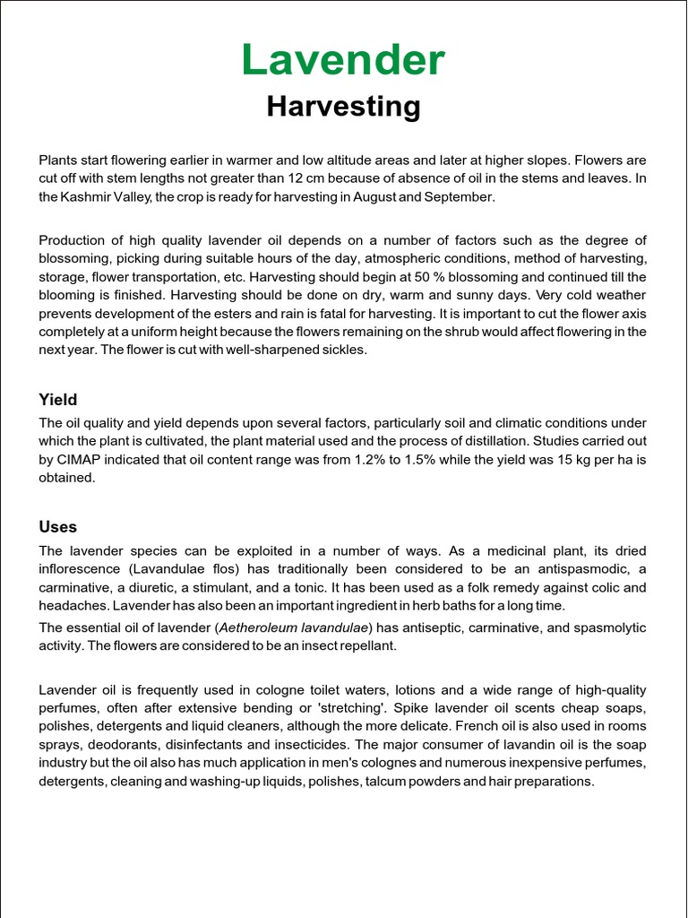 Lav 002 | PDF | Lavandula | Perfume