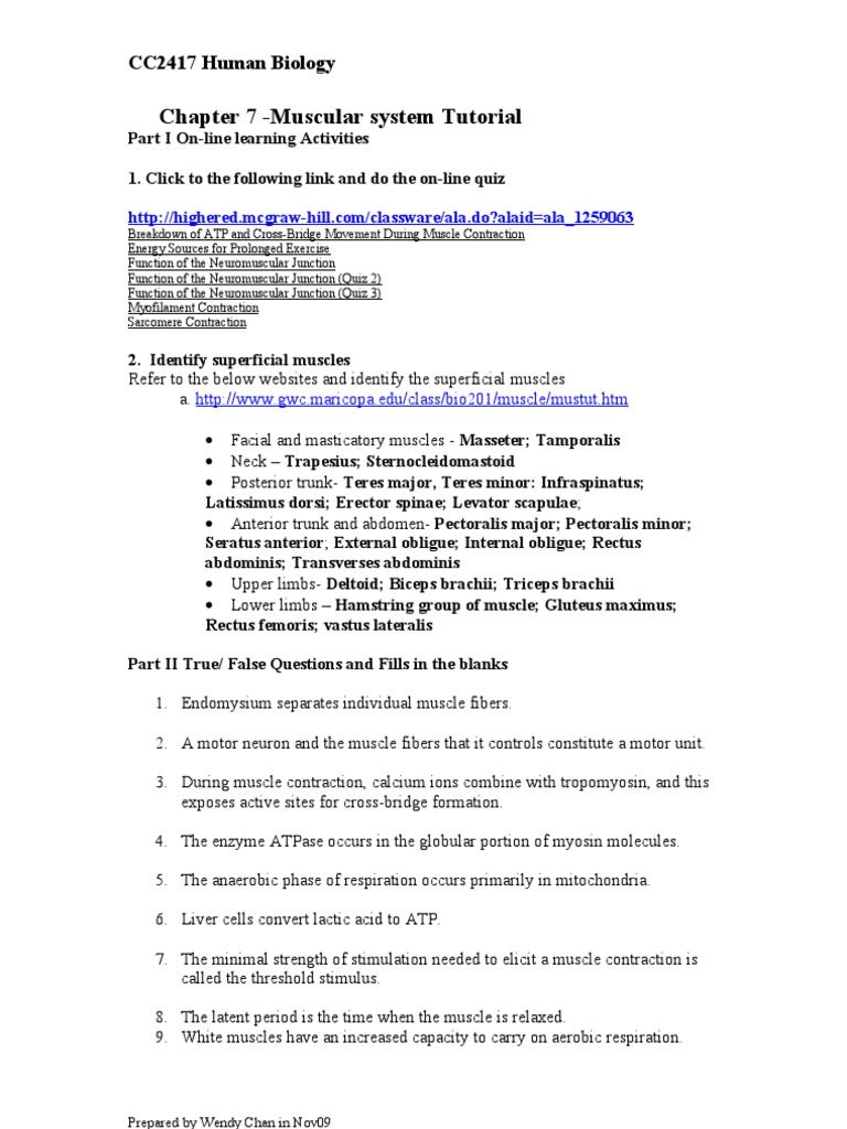 T7 - Muscular System Student | PDF | Muscle Contraction | Muscle