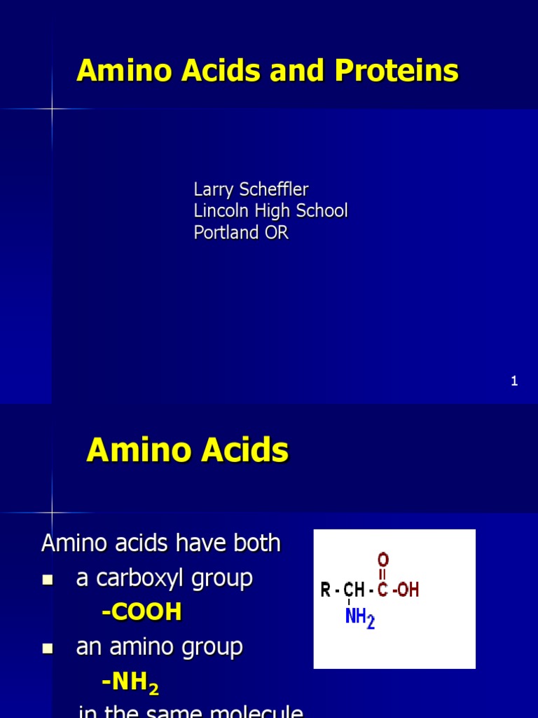 Amino Acids and Proteins: Larry Scheffler Lincoln High School Portland ...