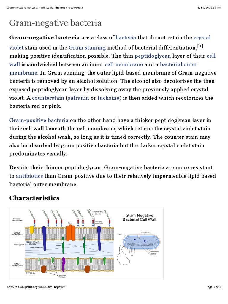 Gram-Negative Bacteria - Wikipedia, The Free Encyclopedia | PDF | Gram ...