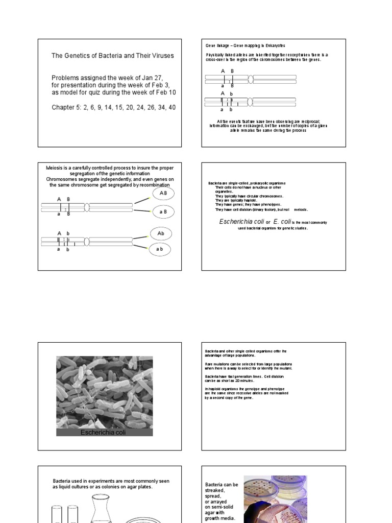 Lec07 Bacterial Gene Mapping 2014 | PDF | Growth Medium | Gene