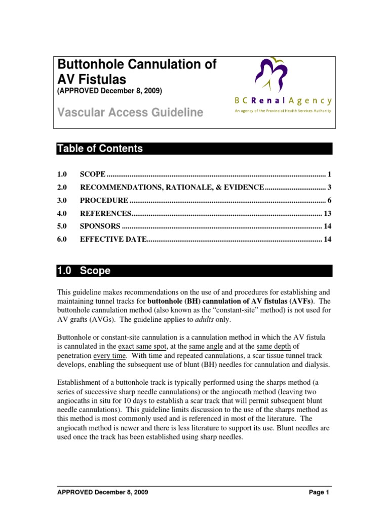 Buttonhole Cannulation of AV Fistulas: Vascular Access Guideline | PDF ...