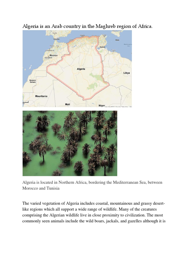 Algeria's Diverse Wildlife and Vegetation | PDF