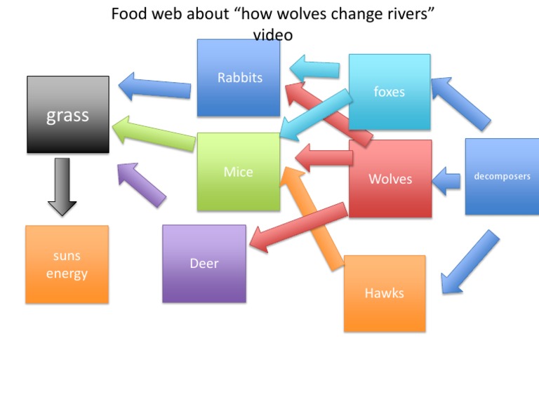 Wolves Food Web | PDF