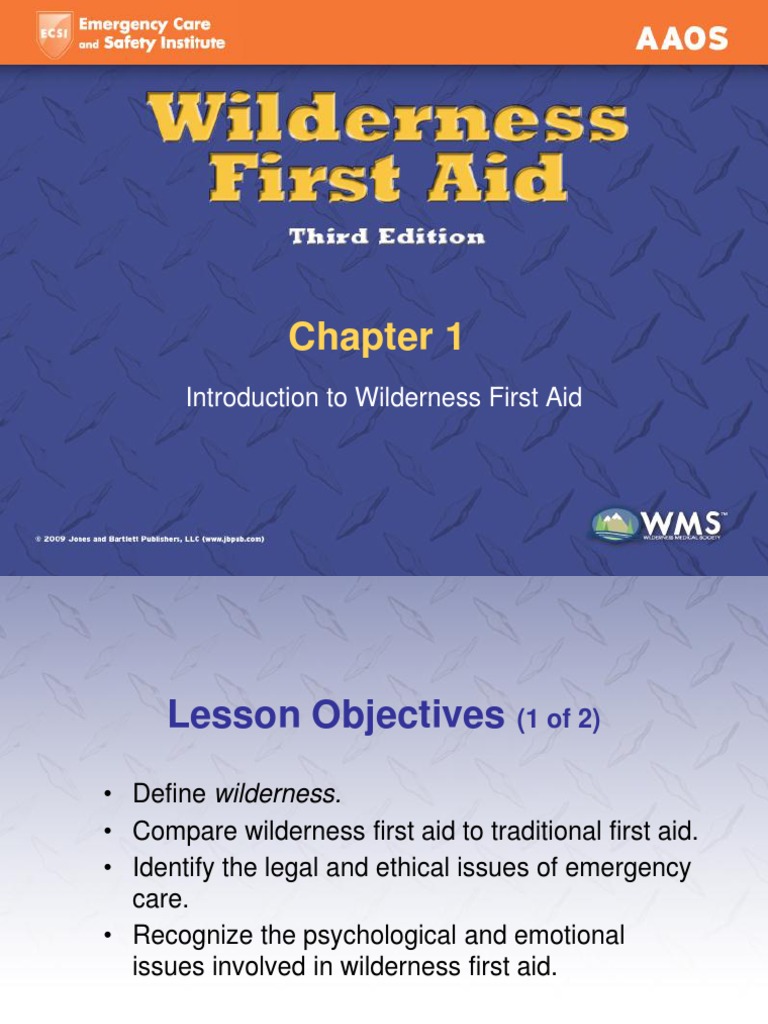 Introduction To Wilderness First Aid | PDF | First Aid | Hepatitis B