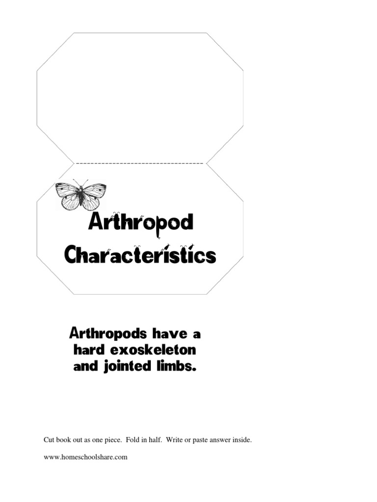 Arthropod Characteristics: Arthropods Have A Hard Exoskeleton and ...
