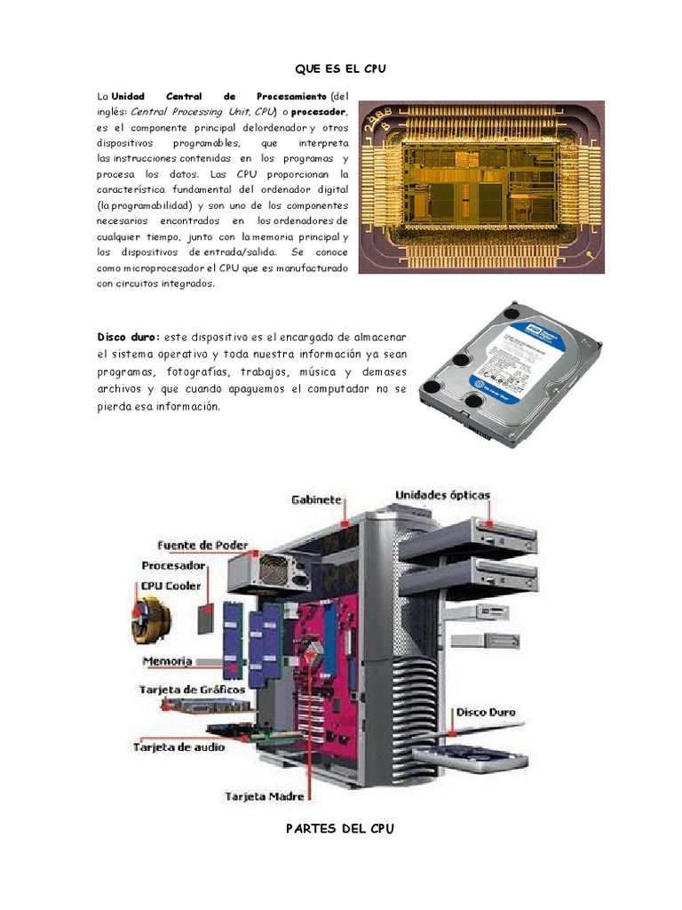 Definición y Función del CPU | PDF | Unidad Central de procesamiento ...