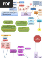 Con Law Flowcharts | PDF | Incorporation Of The Bill Of Rights ...