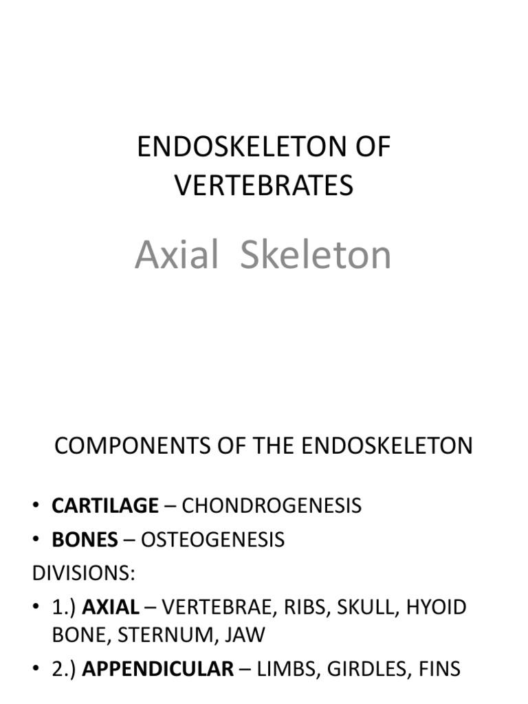 Axial Skeleton, ENDOSKELETON OF VERTEBRATES | PDF | Vertebra | Skull