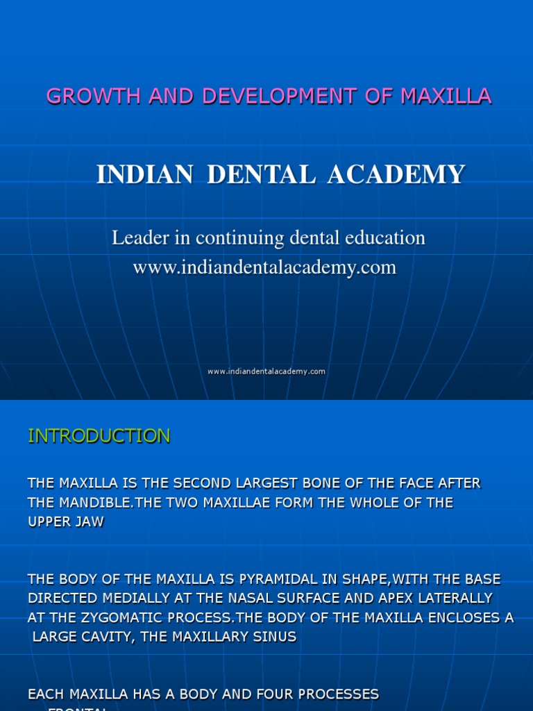Growth and Development of Maxilla / Orthodontic Courses by Indian ...