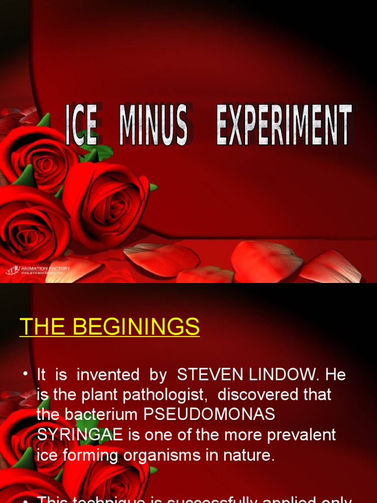 Ice Minus Experiment | PDF | Organisms | Life Sciences