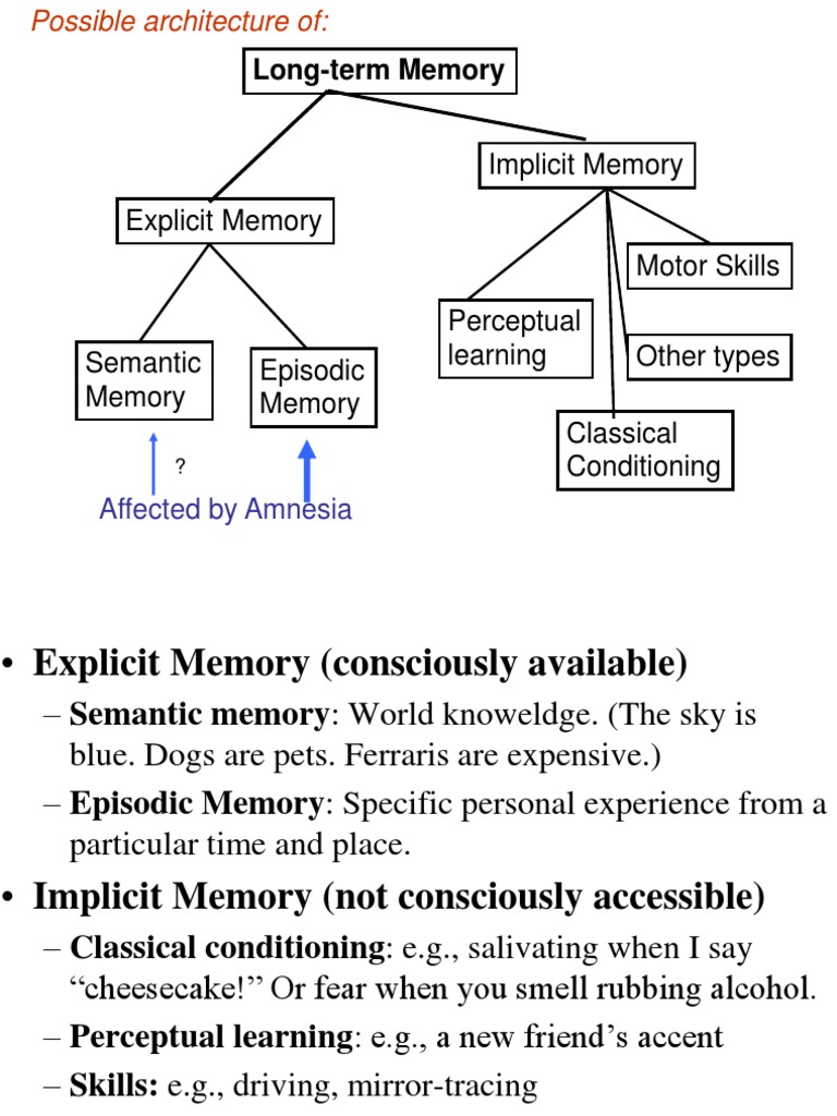 Bboard 3 10 2014 Lecture | PDF | Memory | Priming (Psychology)