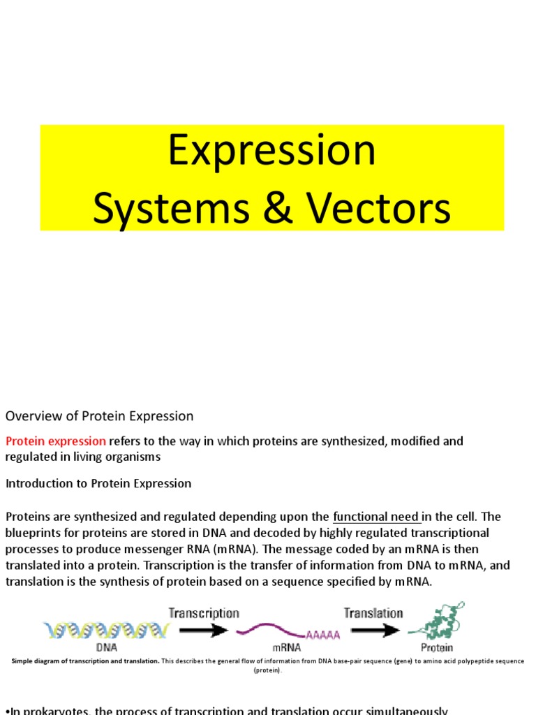 Expression Systems & Vectors | PDF | Gene Expression | Messenger Rna