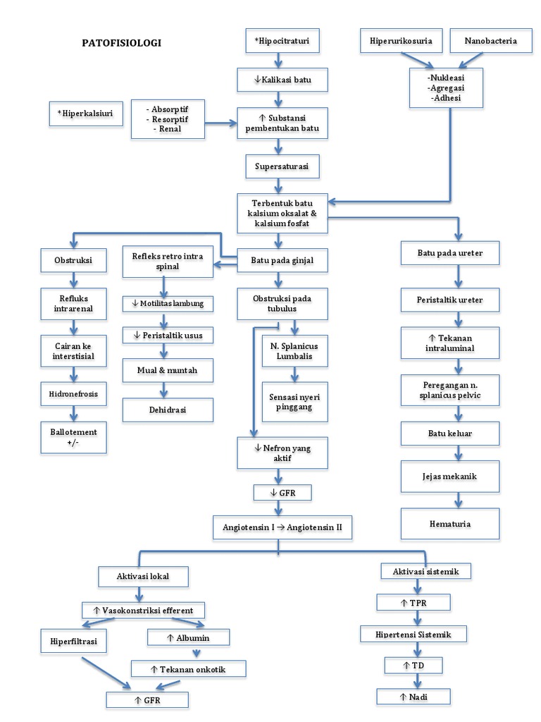 Patofisiologi PGK | PDF | Kesehatan Holistik | Sains & Matematika
