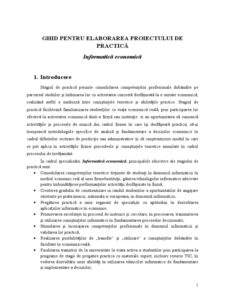 Proiect Practica INFORMATICA | PDF