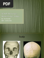 GraphPad Prism 10 User Guide - Forest Plots | PDF | Teaching Methods ...