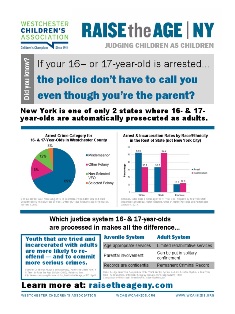 Raise The Age Fact Sheet | PDF