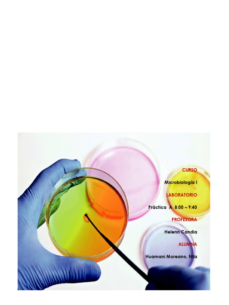 Practica 1 Micro Laboratorio | Laboratorios | Microbiología