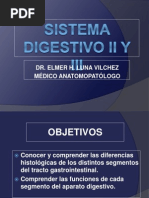 Anatomía y Fisiología Anorrectal | PDF | Recto | Sistema digestivo