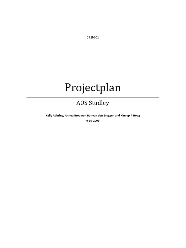 Project Plan 3 | PDF | Project Management | Business