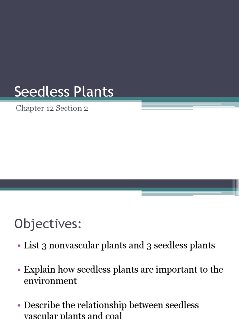 Seedless Plants Ch12.2 7th PDF | PDF | Moss | Fern