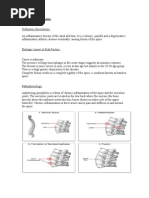 Alfredson Heel Drop Protocol | PDF | Soft Tissue | Limbs (Anatomy)