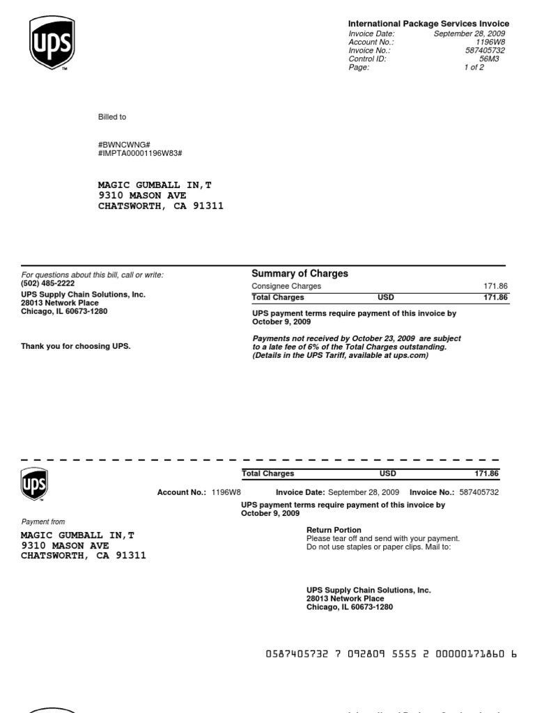 International Package Services Invoice | PDF | Customs | Invoice