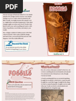Fossil Scavenger Hunt | PDF