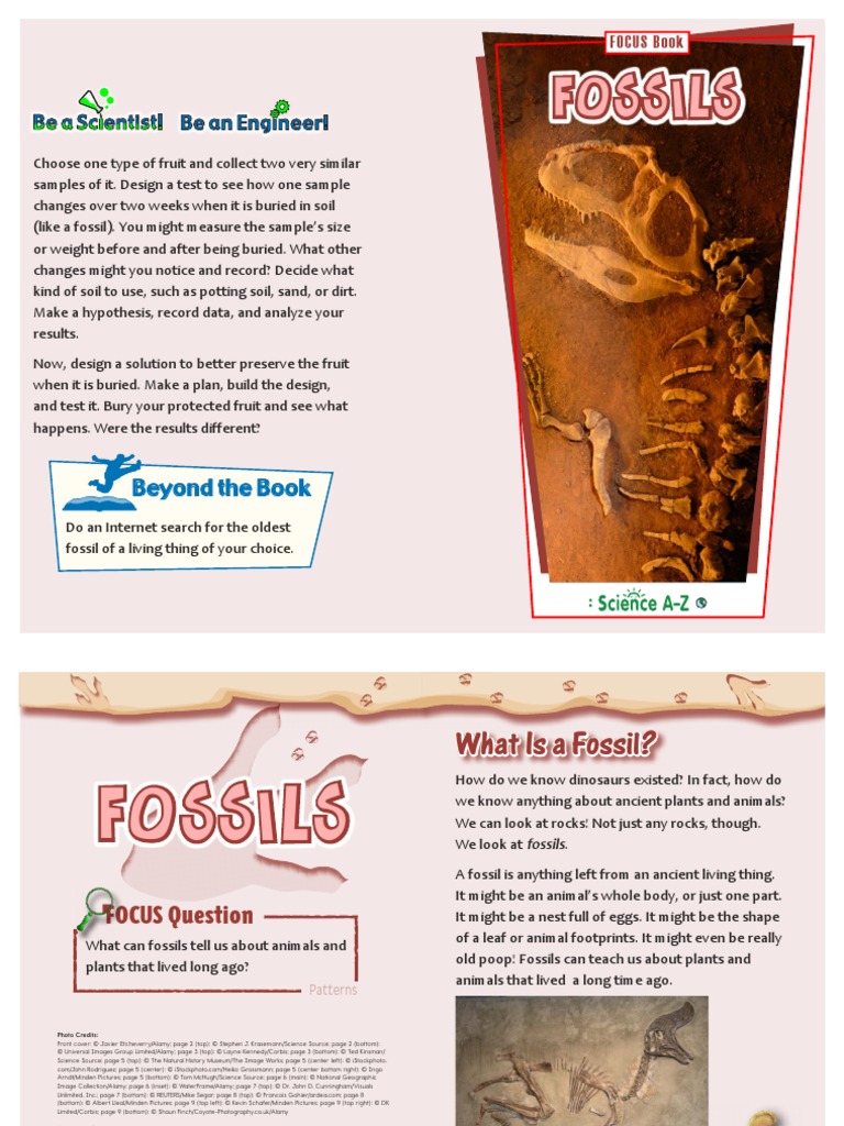 Fossil A-Z Book | PDF | Fossil | Paleontology